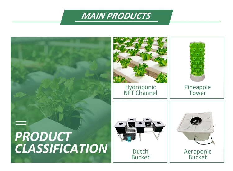 Aquaponics Fish Farms Tanks Greenhouse Hydroponics Aquaponics Growing ...