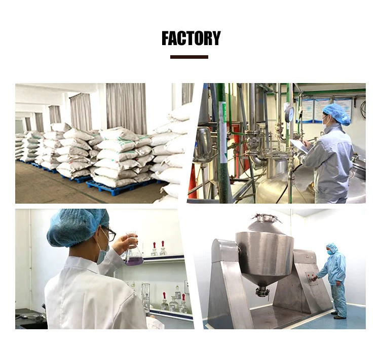 Alibaba.com: Natural Anacyclus Pyrethrum Extract Powder 100% pure, CE ...