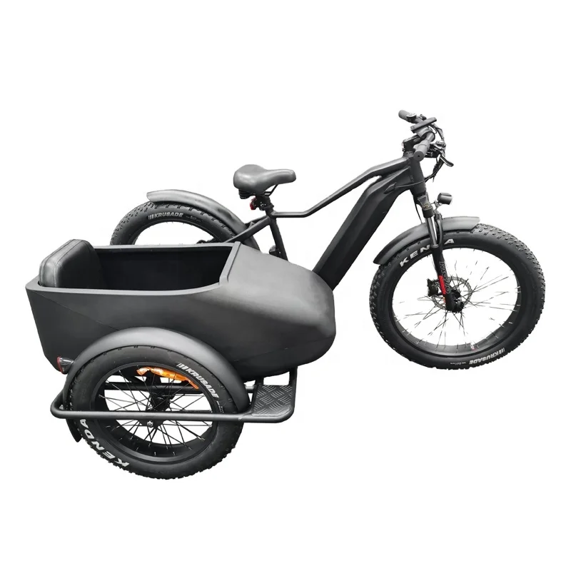 Factory Electric Bicycle Sidecar Adult Woman Step Through Thru Over ...