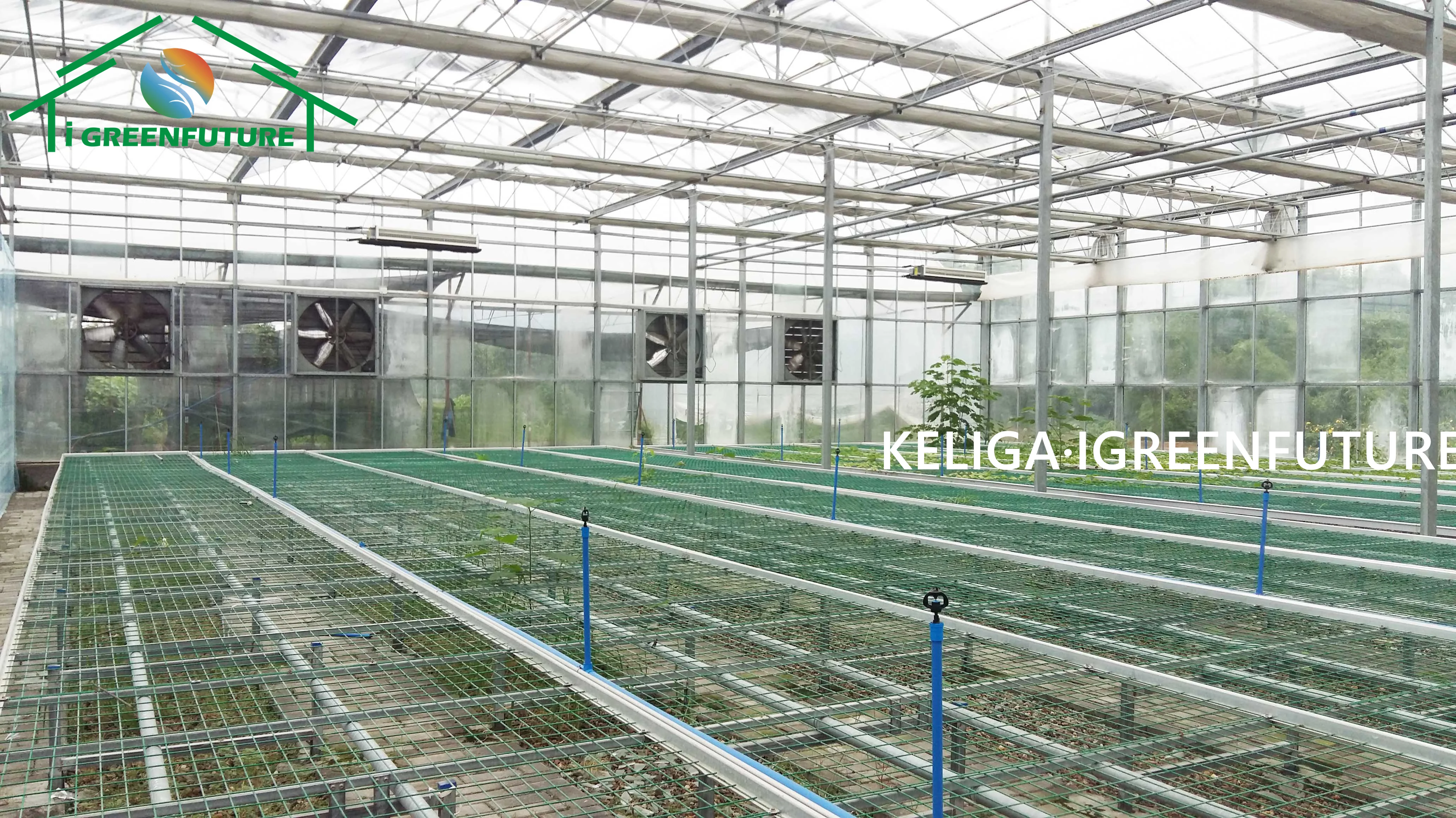 Greenhouse Nursery Bed Ebb And Flow Tray Hydroponics Movable Rolling Bench System Flood Table ...