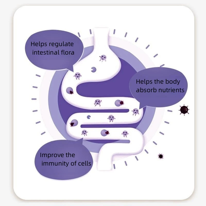 Lactobacillus Acidophilus Probiotics - 10 100 Billion Cfu/g