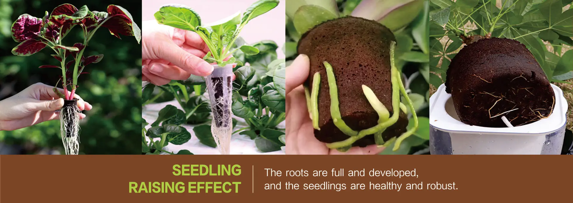 Replacement Root Growth Sponges Seed Pods Compatible with AeroGarden ...
