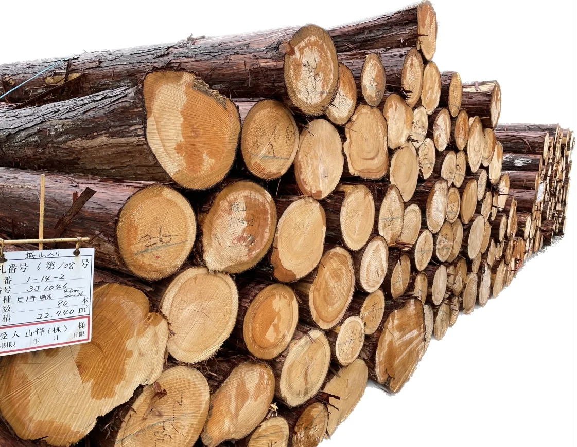 Good Hinoki Cypress Beautiful Cheap Wood Timber Round Hinoki Wood Logs ...