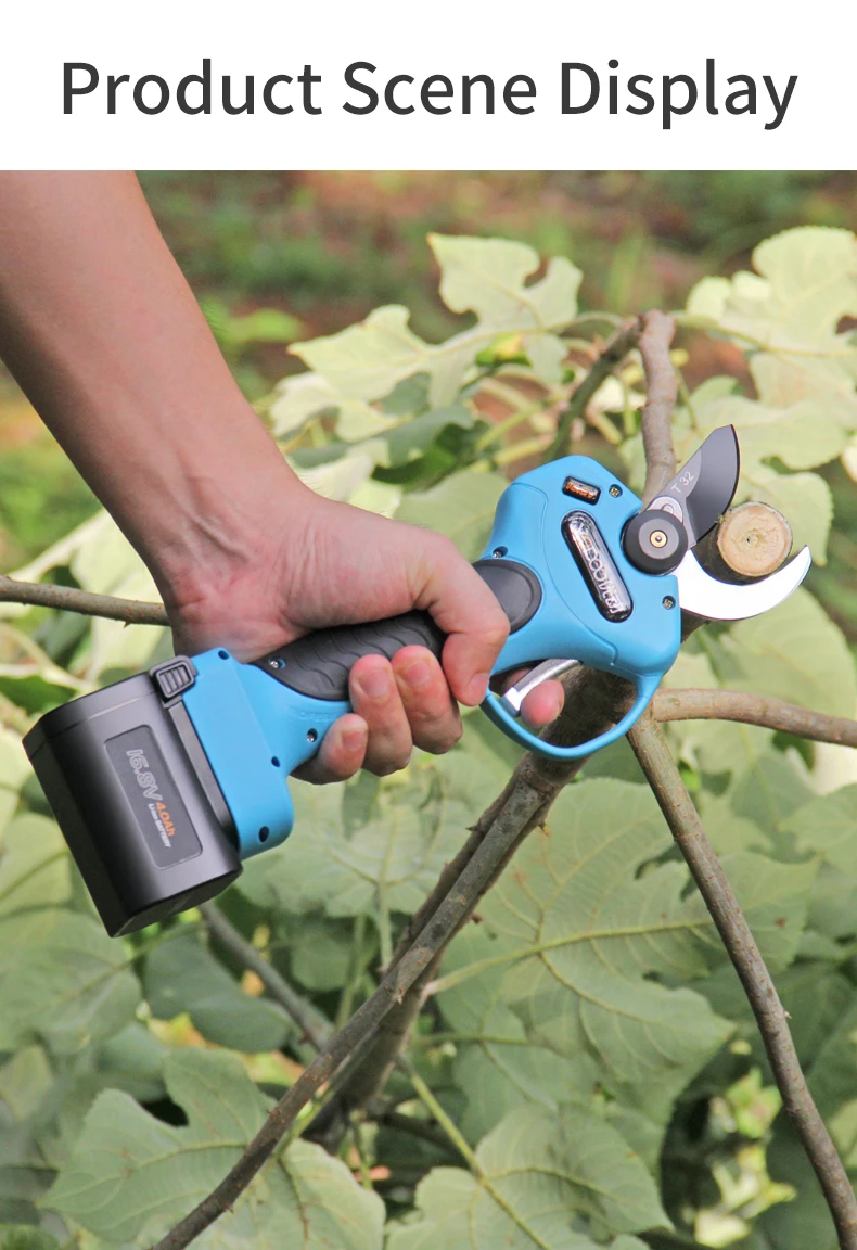 Professional Premium Titanium Bypass Pruning Shears (gpps-1003) Hand ...