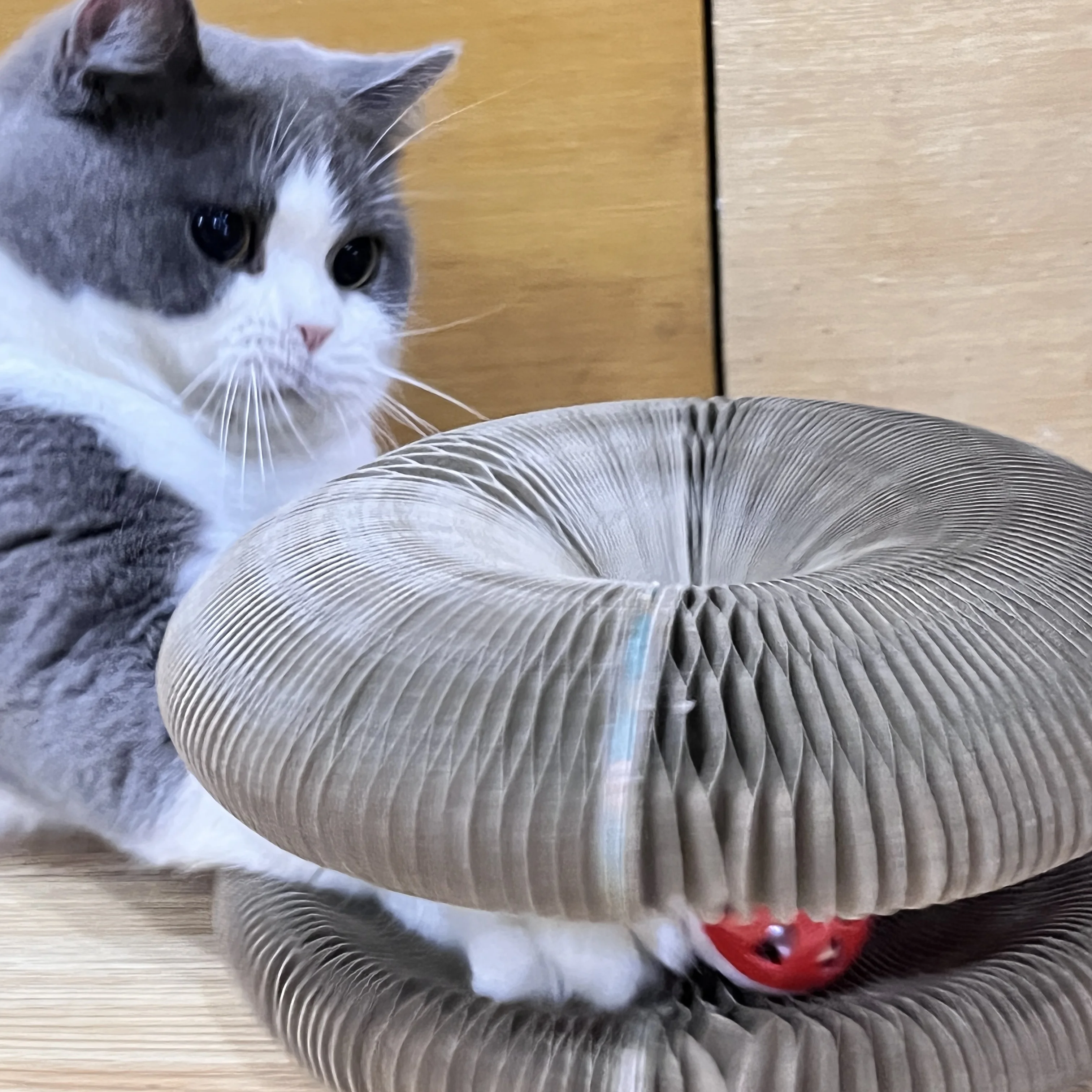 Amazon Hotsale 2022 Tik Tok Cat Cardboard Organ Scratch Board Cat Bed ...