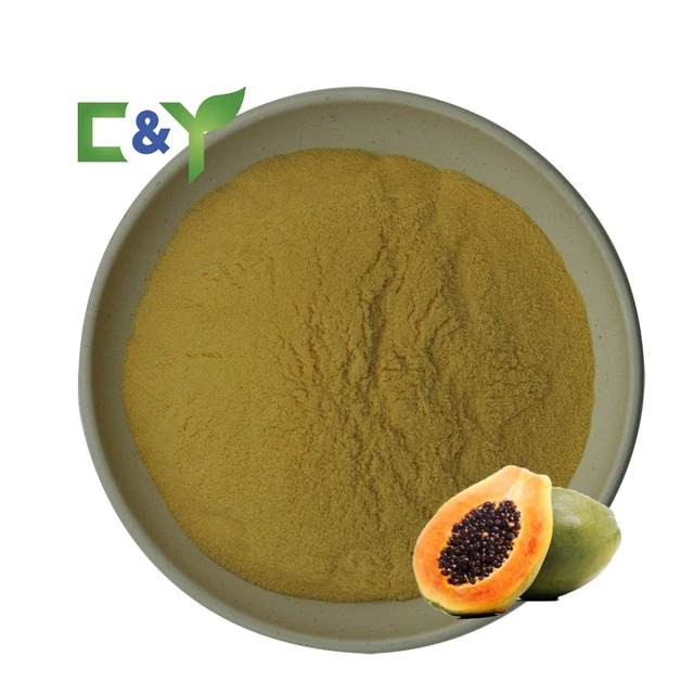 Xi'an Comyoung Biotech Co., Ltd. - Plant Powder, Fruit Powder