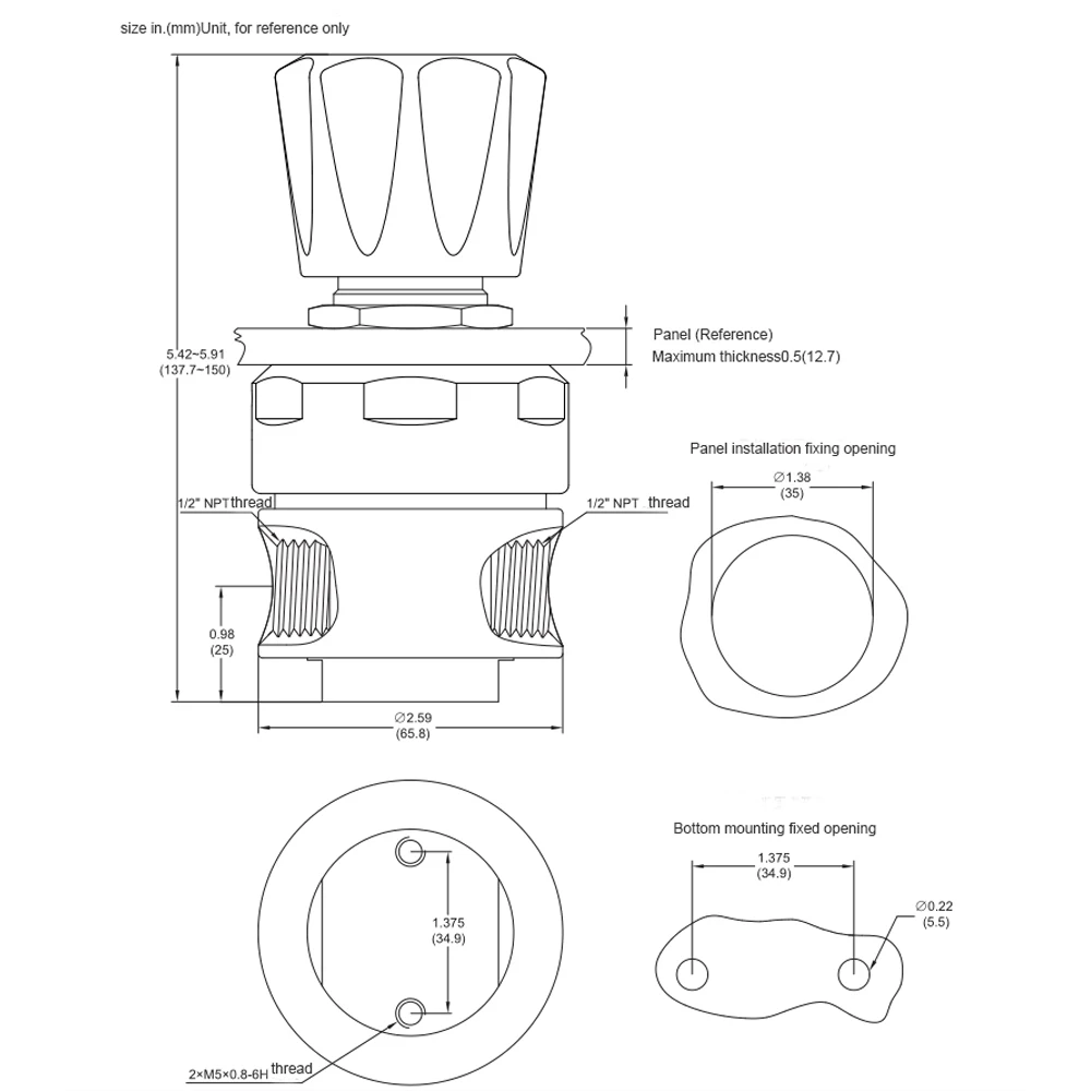 Gas Pressure Regulator 3000 Inlet and 250 psi Outlet CO2/Oxygen ...