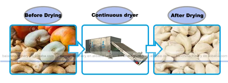 Large Output Industrial Commercial Nut Drying Machine Cashew Nut Dryer ...