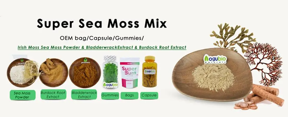 High Quality Sea Moss Extract Powder Natural Sea Moss Powder - Buy Sea ...