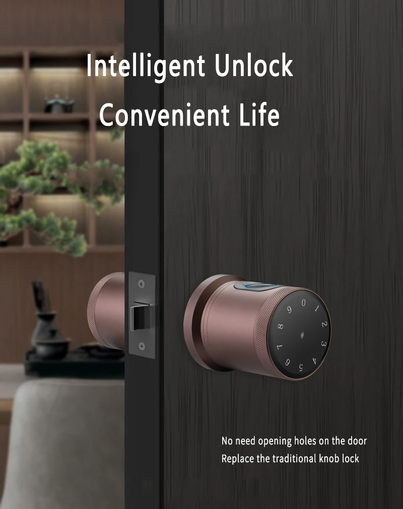 Smart Lock Tuya Wifi Keyless Biometric Round Fingerprint Security Anti-theft Smart Knob Door ...