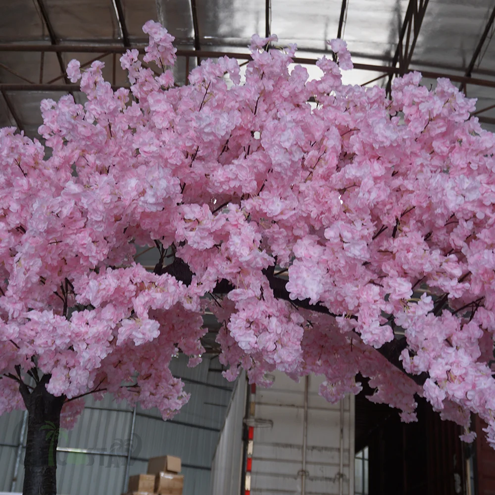 Outdoor Flower Japanese Sakura Tree - Wedding Centerpiece