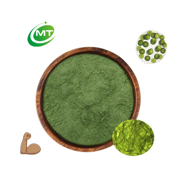 Free Sample Wholesale Price Organicaphanizomenon Flos Aquae Powder