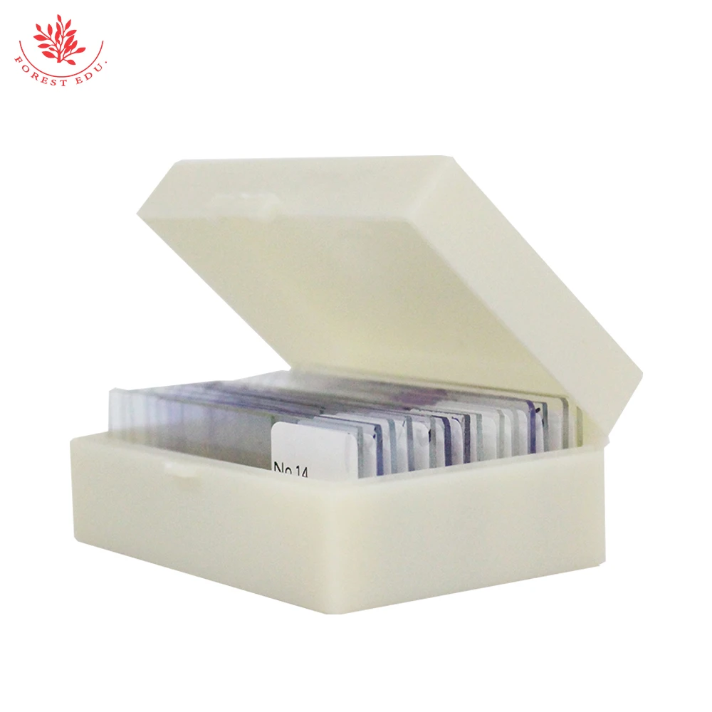 Teaching Resources And Educational Equipment School And Medical Hot ...