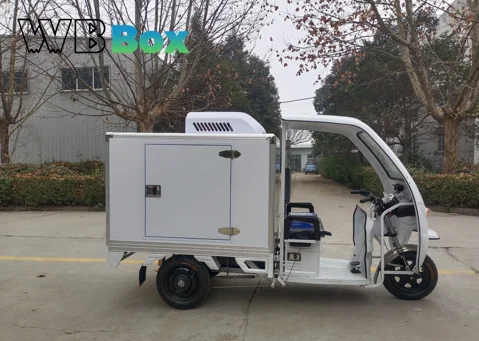 Three-Wheel Electric Cargo Box Tricycle 60v Powered Reefer Cooling ...