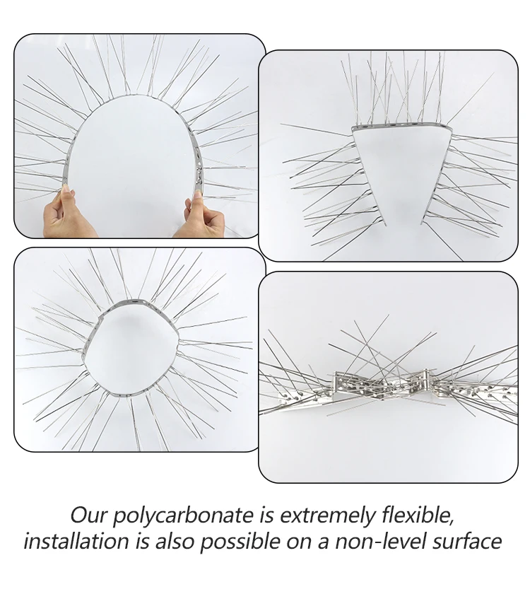 Stainless Steel Bird Spikes - Deter Pest Birds Effectively