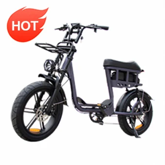 Company Overview - SMART RIDE TECHNOLOGY LIMITED