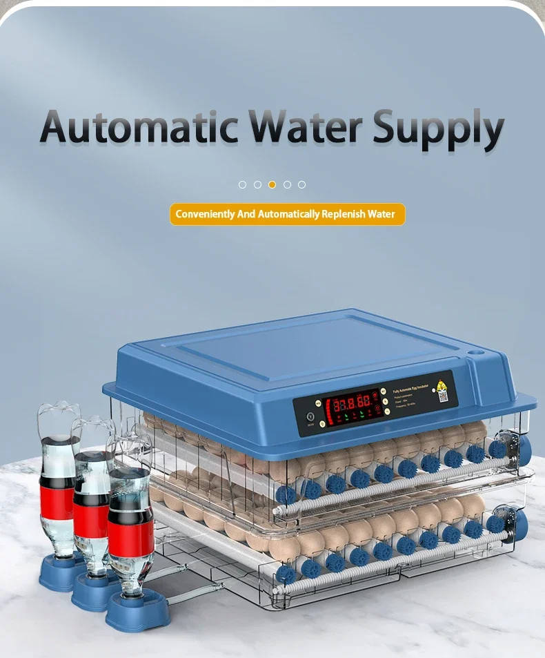 50 Eggs Incubator Lahore Pakistan Chicken Incubators Hatching Eggs 100 ...