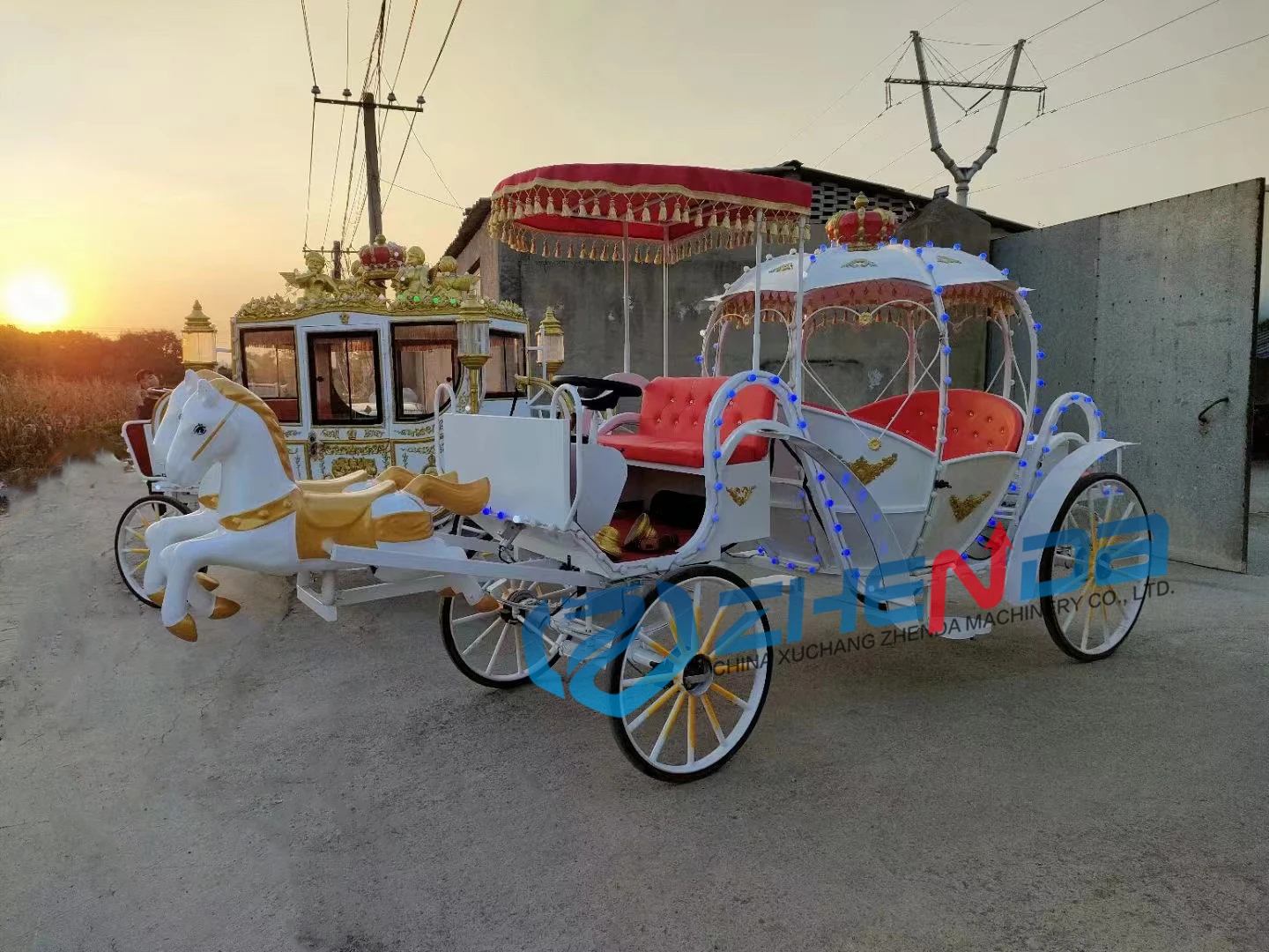 Beautiful Cinderella Horse Carriage/Horse Cart Marathon Horse Carriage ...