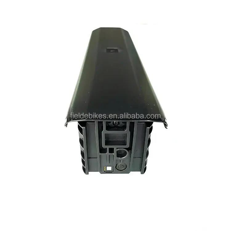 Bafang BT F25.820.C Battery - 50.4V, 16.2ah, 800-1000 Cycles