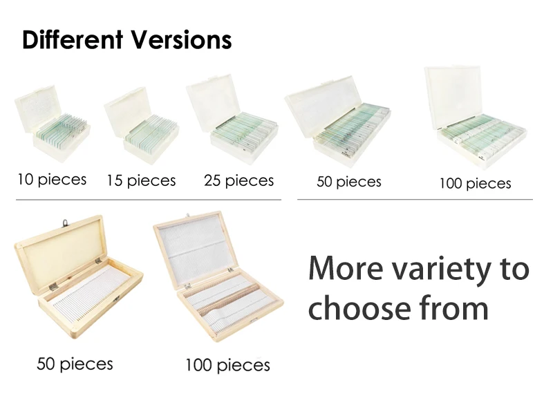 Prepared Slides For Histology Various Microscope Slides Animal Prepared ...