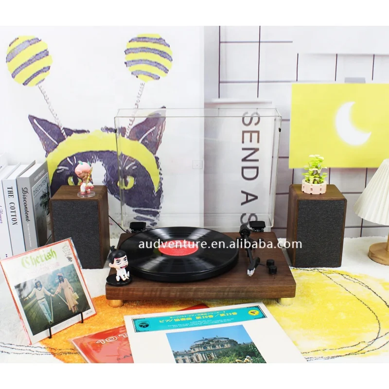 Modern Home Audio Vintage Record Player Multi-functional With Dust ...
