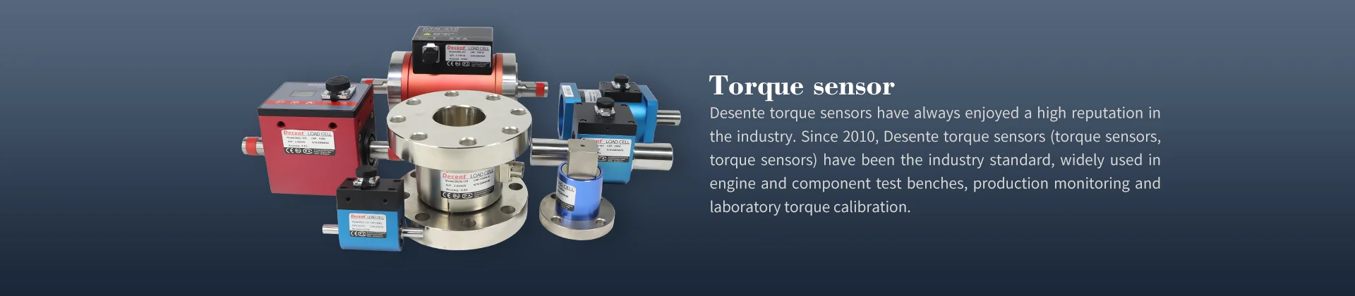 Dst (Shenzhen) Sensor Co., Ltd.