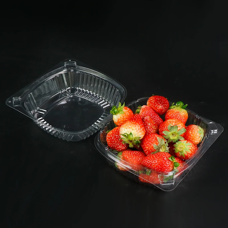 Fruit Salad Packaging Tray Box Plastic Disposable Takeout Container ...