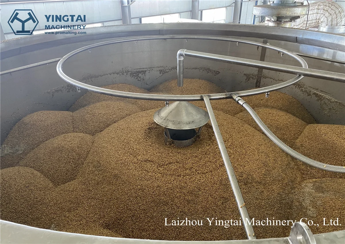 Yingtai-equipo De Promalting 2023,Tambor Profesional,Sistema De ...