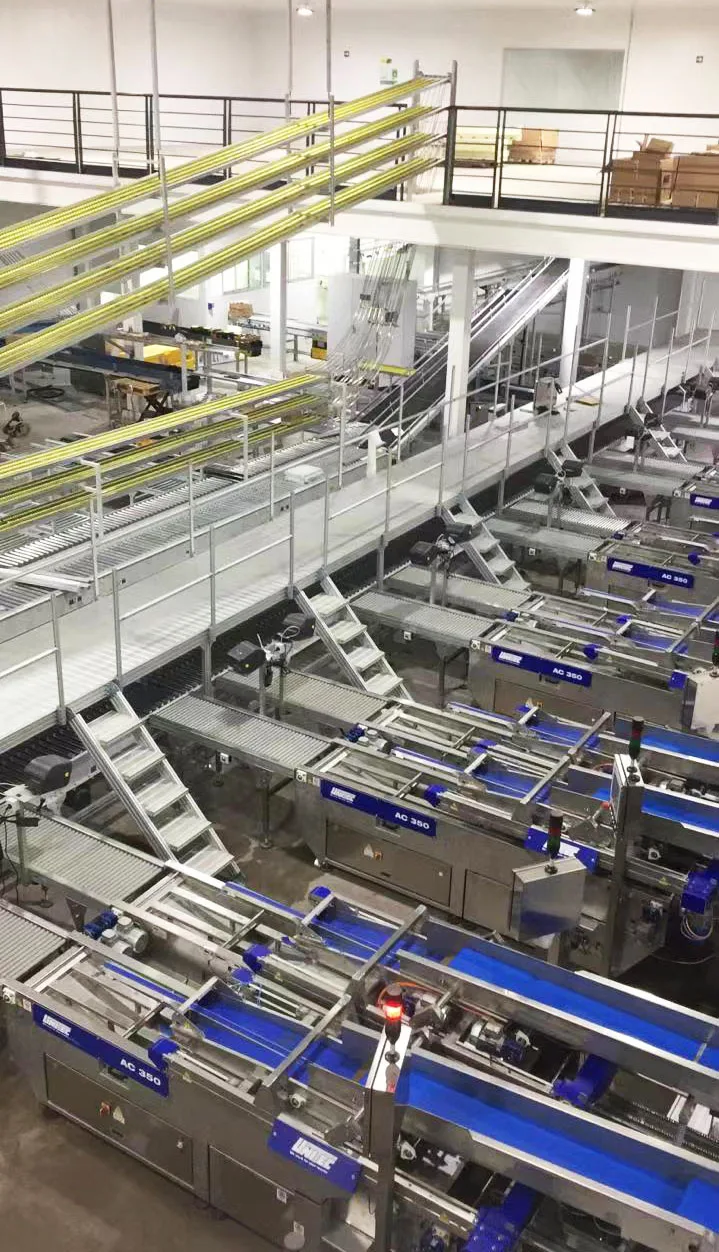 ZHENGHE Aircraft Use Movable Maintenance Catwalk - 150kg Load Capacity