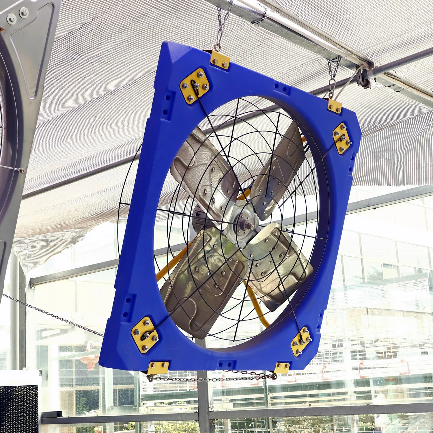 Poultry Farm Equipment Cow House Ventilation Fan for Dairy Cows Farm ...