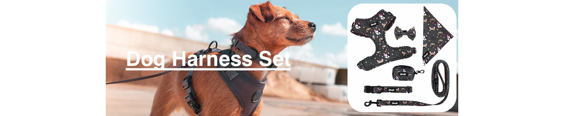 Company Overview - Shenzhen Umole Tech Co., Ltd.