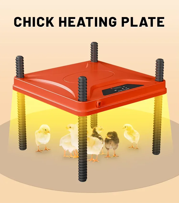 Chick Heating Plate for Chicken and Ducklings With Remote Control ...