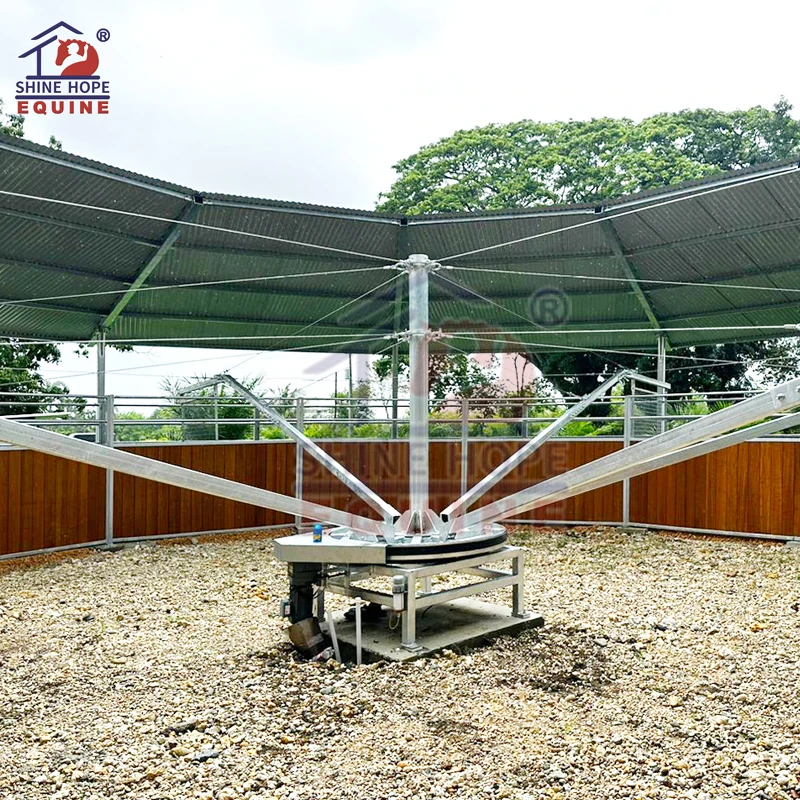 Essential Horse Walker Training Machine Equipment with electrically ...