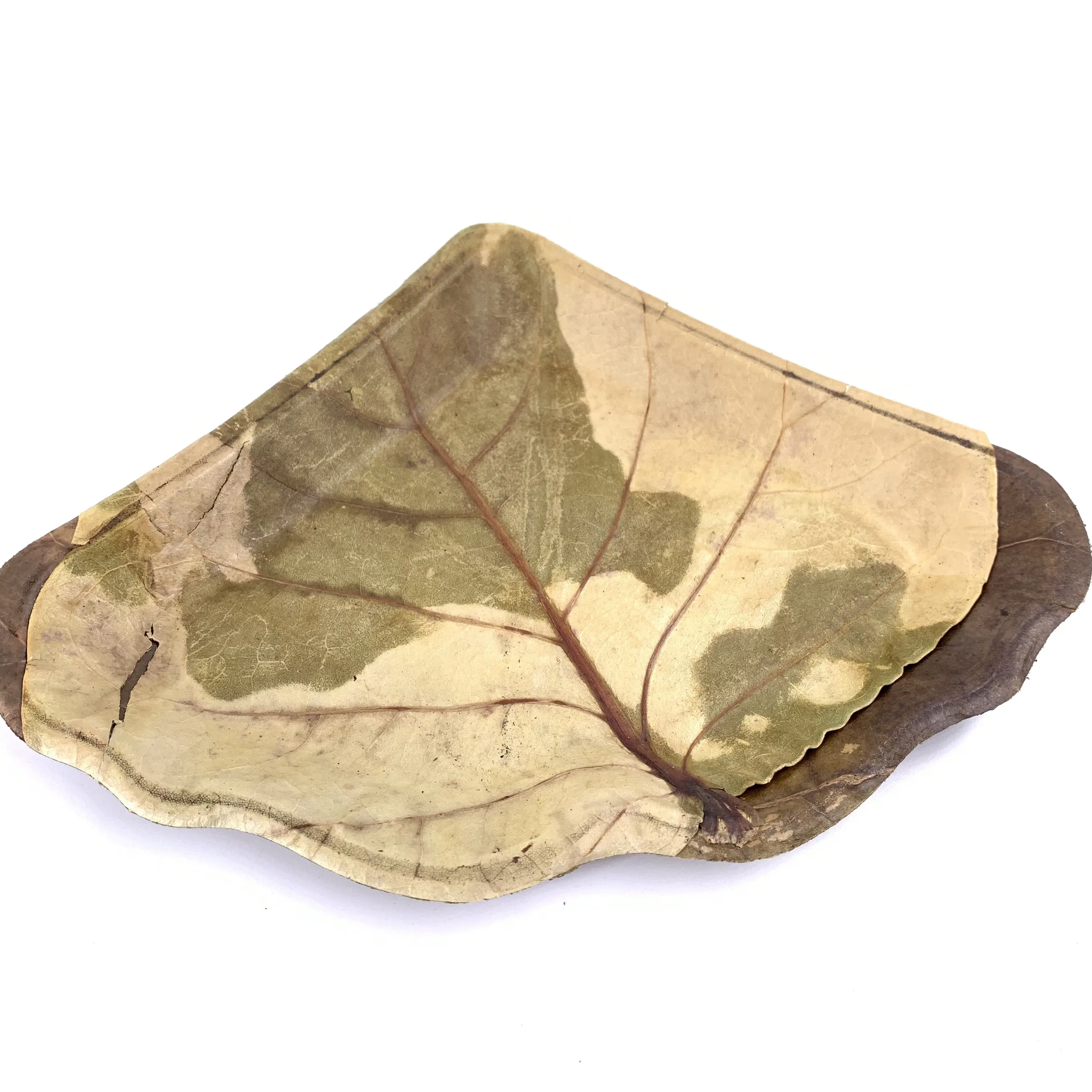 100% Recyclable Plates Are Made From Leaves Country Style Eco-friendly ...