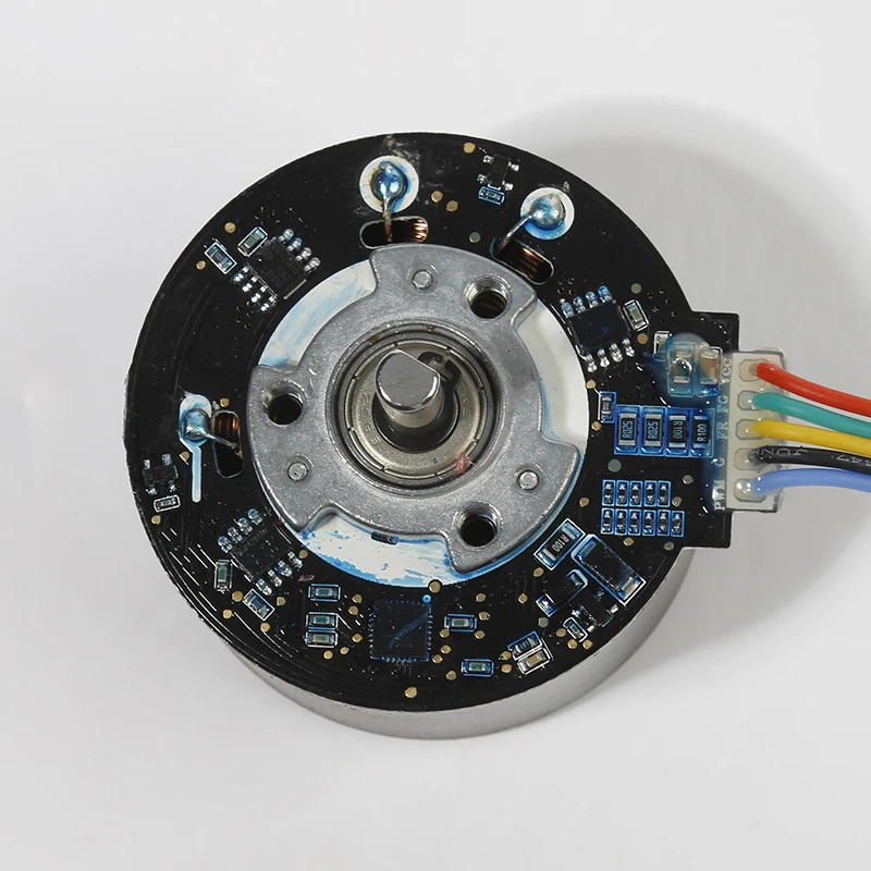 Bl5520 Bldc Motor External Rotor Bldc Brushless Motor For Massage Gun ...