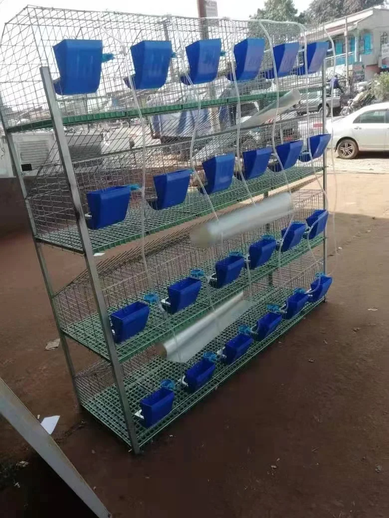 Rabbit Breeding Cages Commercial - H Type Indoor Cages