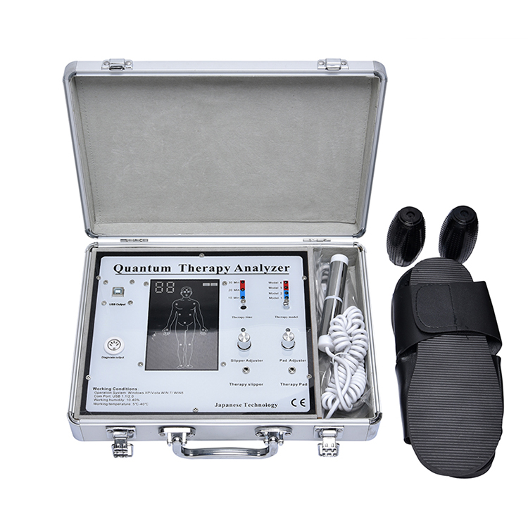 Quantum Magnetic Resonance Body Healthy Analyzer Quantum Therapy ...