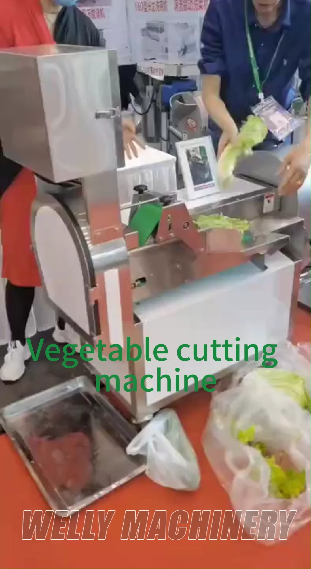 Stainless Steel Diced Carrot Potato Cucumber Onion Spiral Vegetables ...