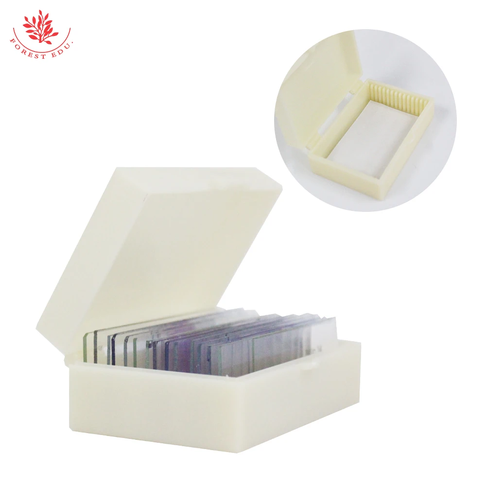 Teaching Resources And Educational Equipment School And Medical Hot ...