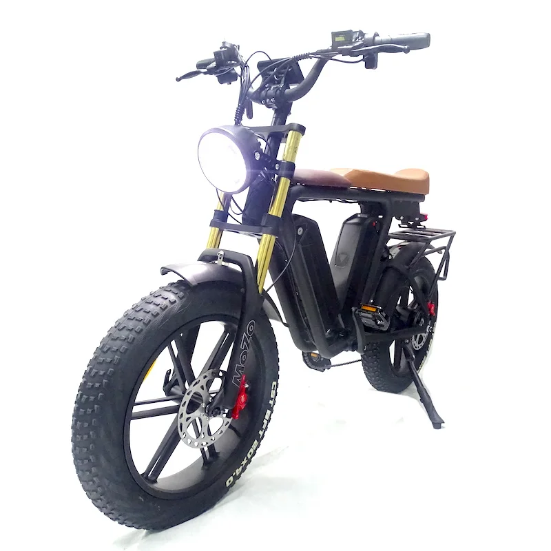 22ah*2 Dual Battery Ebike with 48V 1000W Motor & Full Suspension
