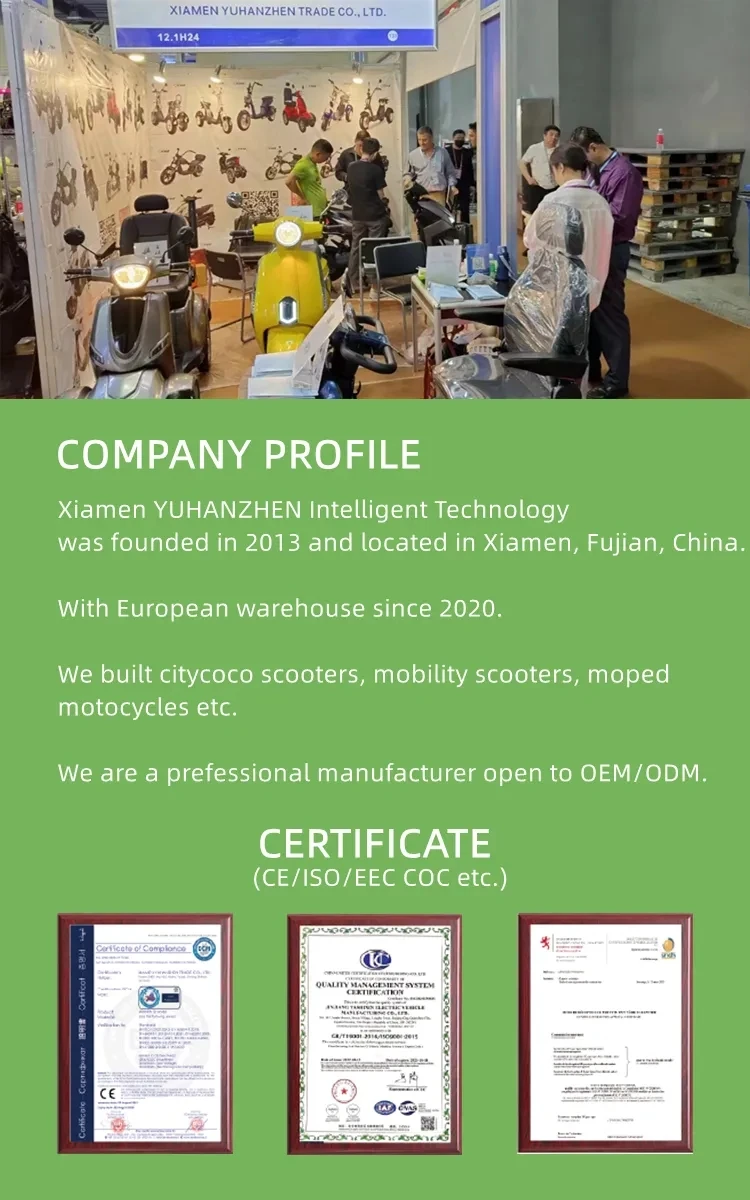 EEC Small 800W 72V Electric Tricycle - 25km/h Speed