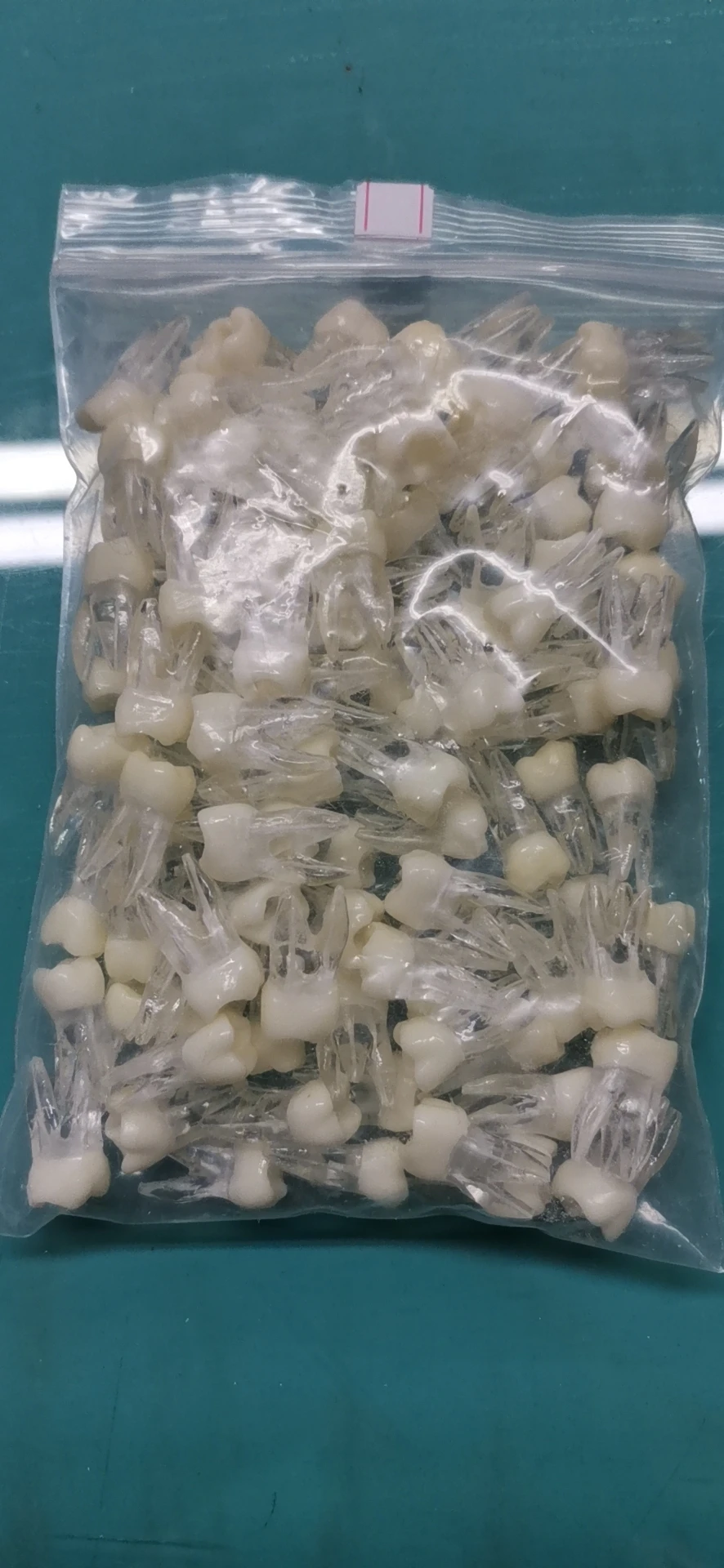 Endo Training Model With White Crown Red Nerve Natural Root Endo ...