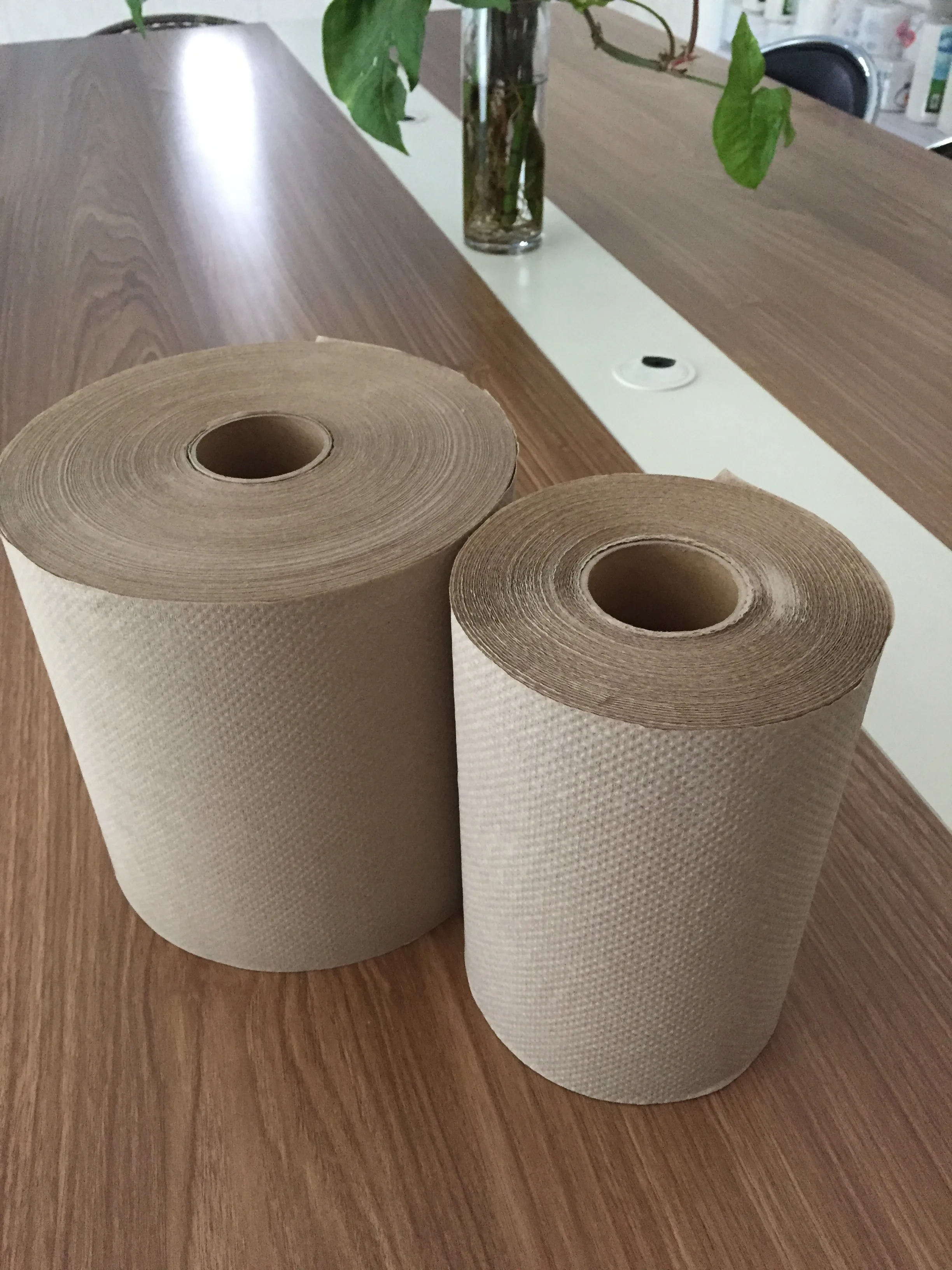 Hand Paper Towel Rolls - Durable, Absorbent, and Versatile