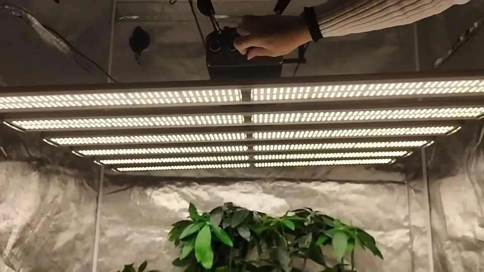 Sylstar Diy Full Spectrum Lm281b Lm301b 301h Led Panel 3000k 5000k Led ...