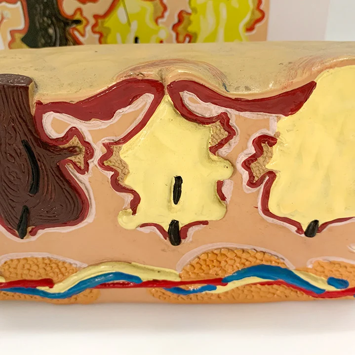 Anatomical Human Skin Enlarge Model for Medical Education