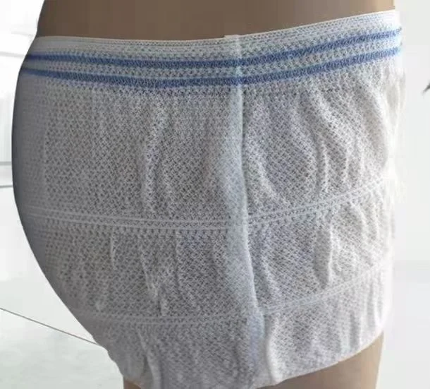 Post Partum Underpants Disposable Mesh Underwear | Postpartum ...