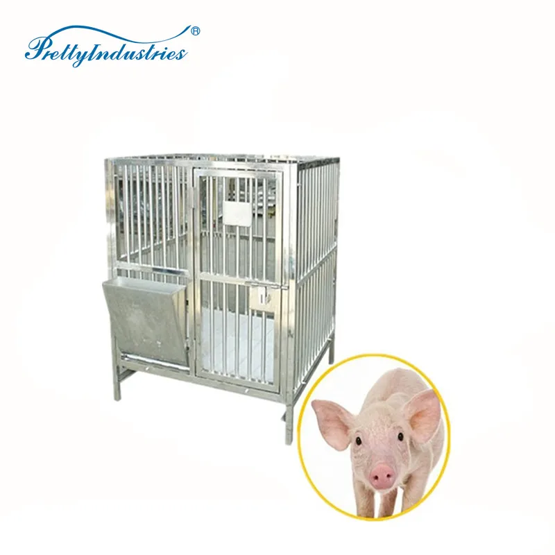 Stainless Steel Laboratory Pig Cages - Flexible & Durable