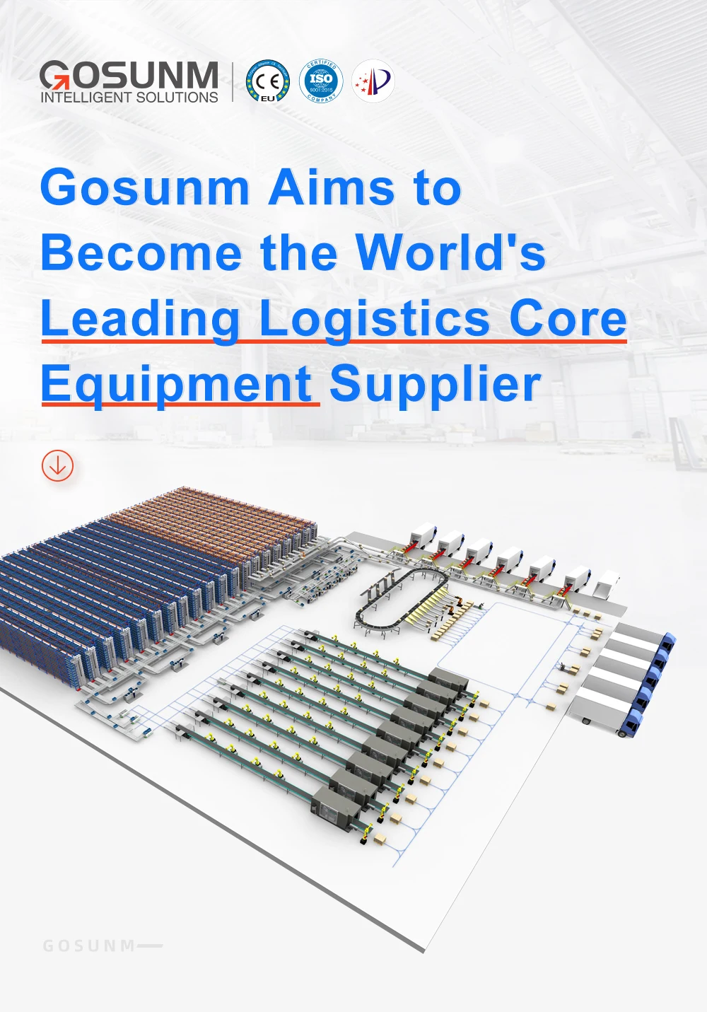 H240303 High-Speed Weighing Sorting & Dimensioning Logistics Automation ...