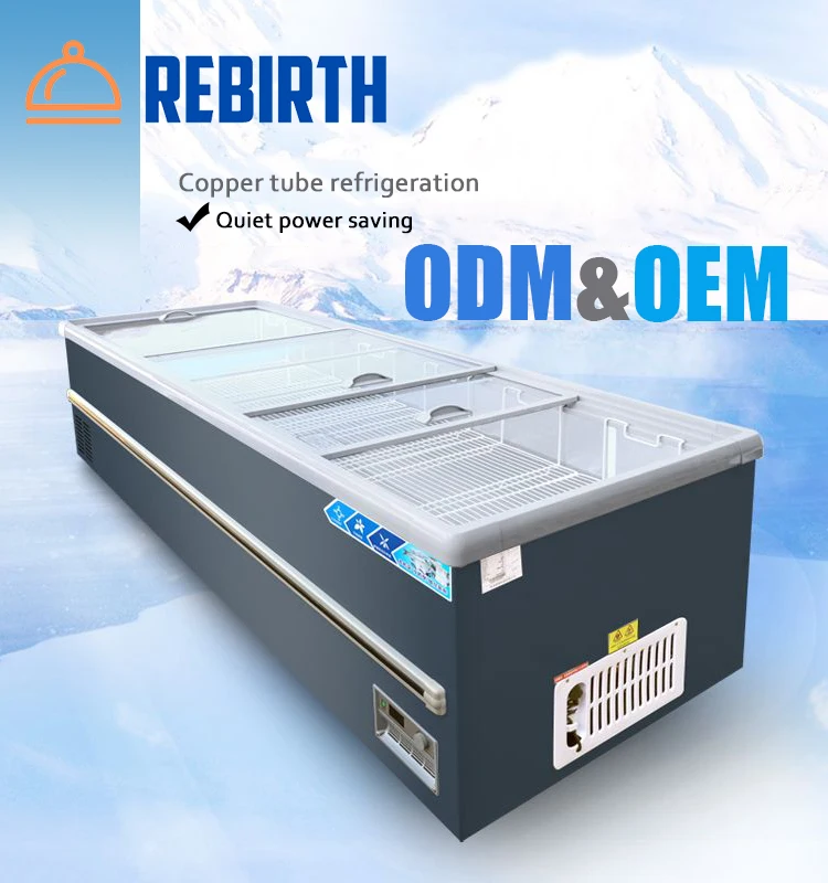 Rebirth Temperature Controller Congelador Horizontal Fridges and Deep ...