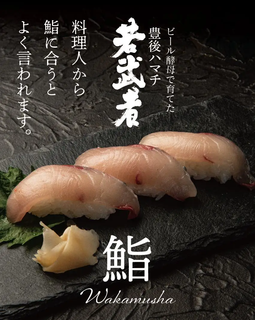 Yellowtail Japan Fish Fillet Seafood Processed Products Fresh - Buy ...